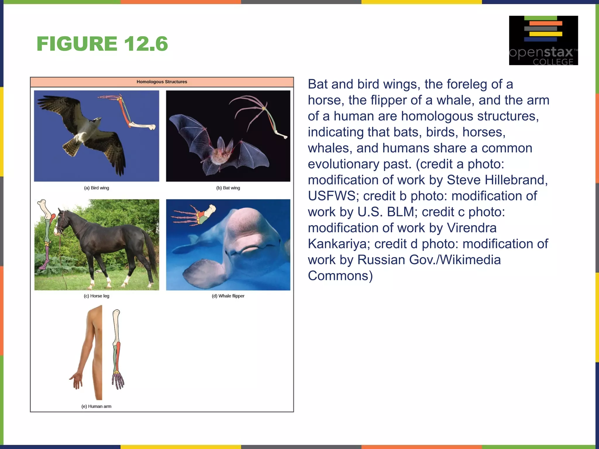 Open stax biology(nonmajors) ch12 | PDF