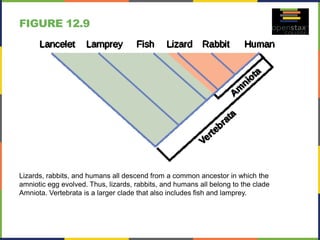 Open stax biology(nonmajors) ch12 | PDF