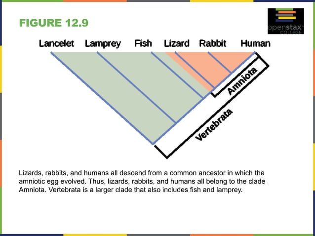 Open stax biology(nonmajors) ch12 | PDF