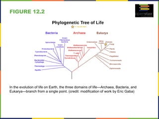 Open stax biology(nonmajors) ch12 | PDF