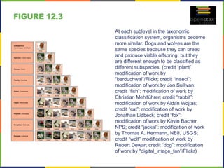 Open stax biology(nonmajors) ch12 | PDF