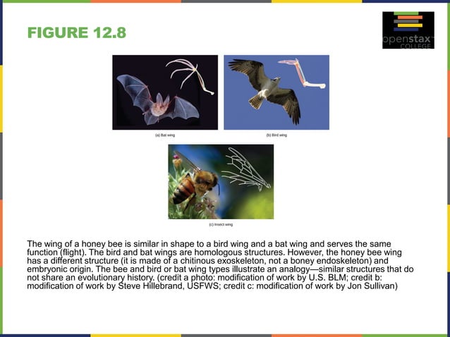 Open stax biology(nonmajors) ch12 | PDF