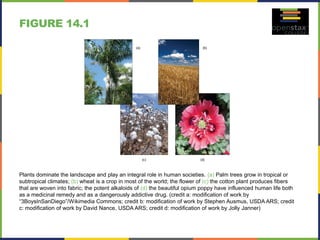 Open stax biology(nonmajors) ch14 | PDF