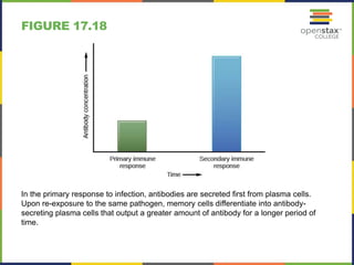 Open stax biology (nonmajors) ch17 | PPTX