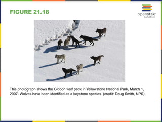 Open stax biology (nonmajors) ch21 | PPTX | Zoos & Aquariums | Attractions