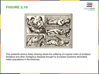 Open stax history_ch02 early globalization 1492-1650_imageslideshow.ppt