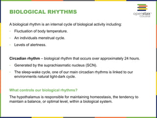 OpenStax_Psychology_CH04_ImageSlideshow (2).pptx