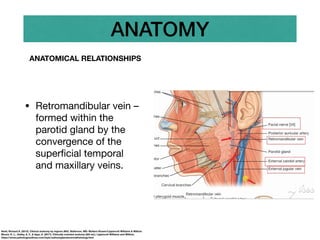 Parotidectomy superficial orlhns technique | PDF