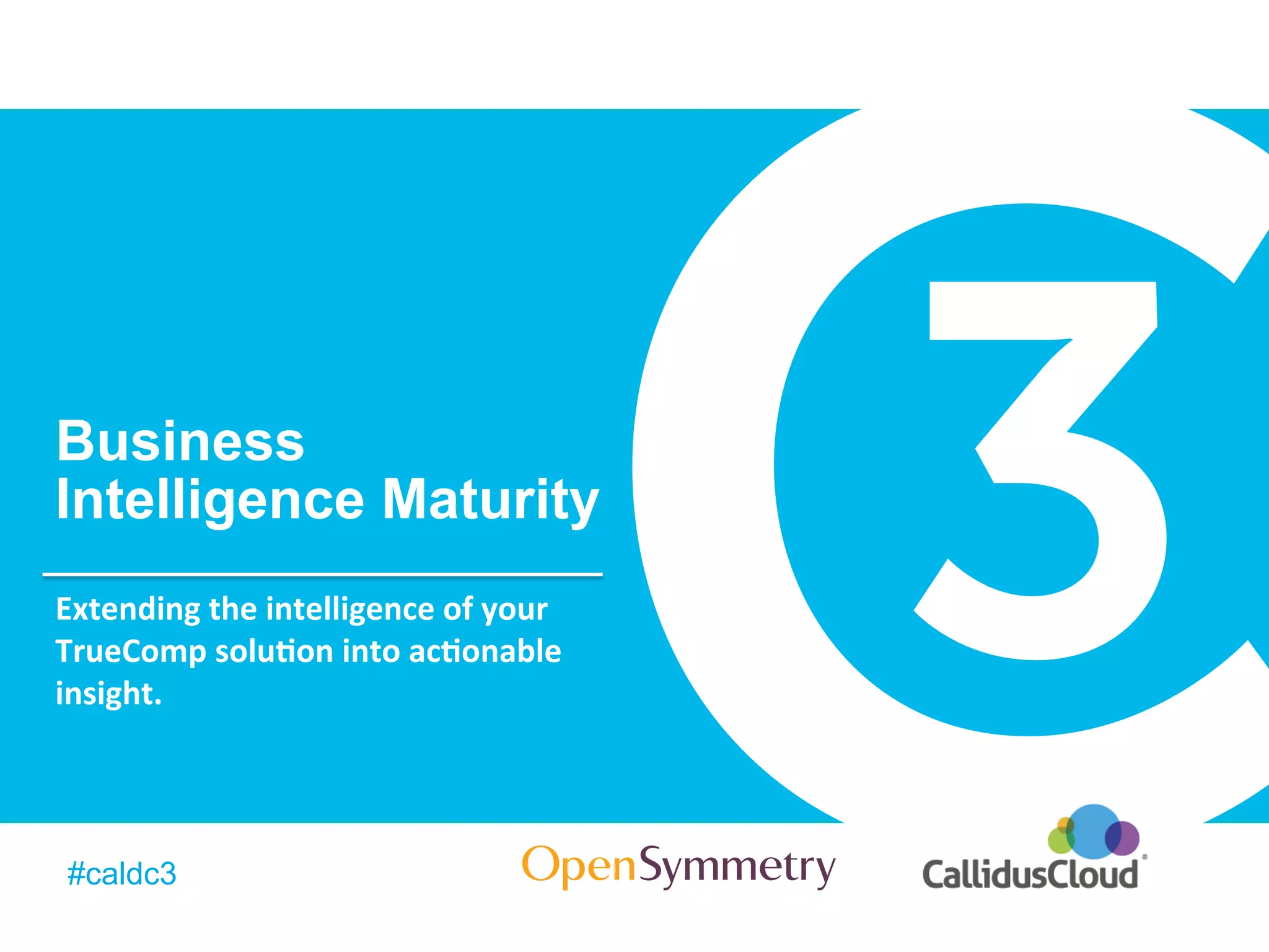 OpenSymmetry - Business Intelligence Maturity | PPT
