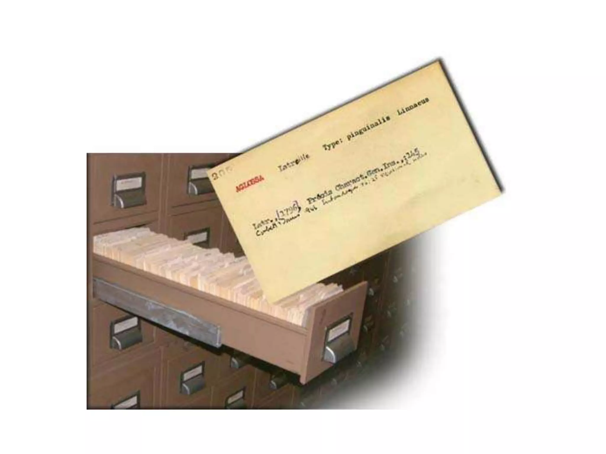 Open taxonomy | PPTX