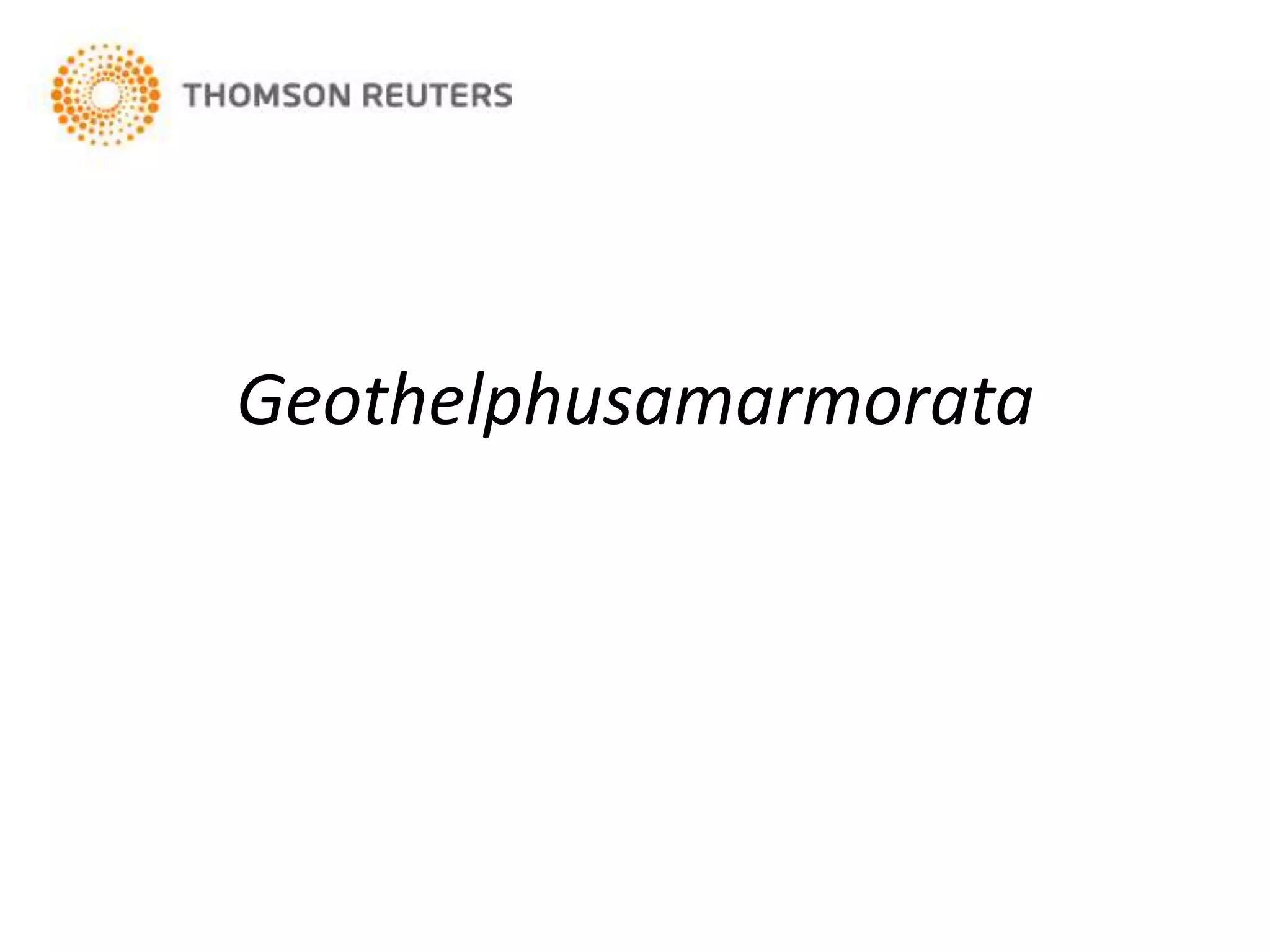 Open taxonomy | PPTX