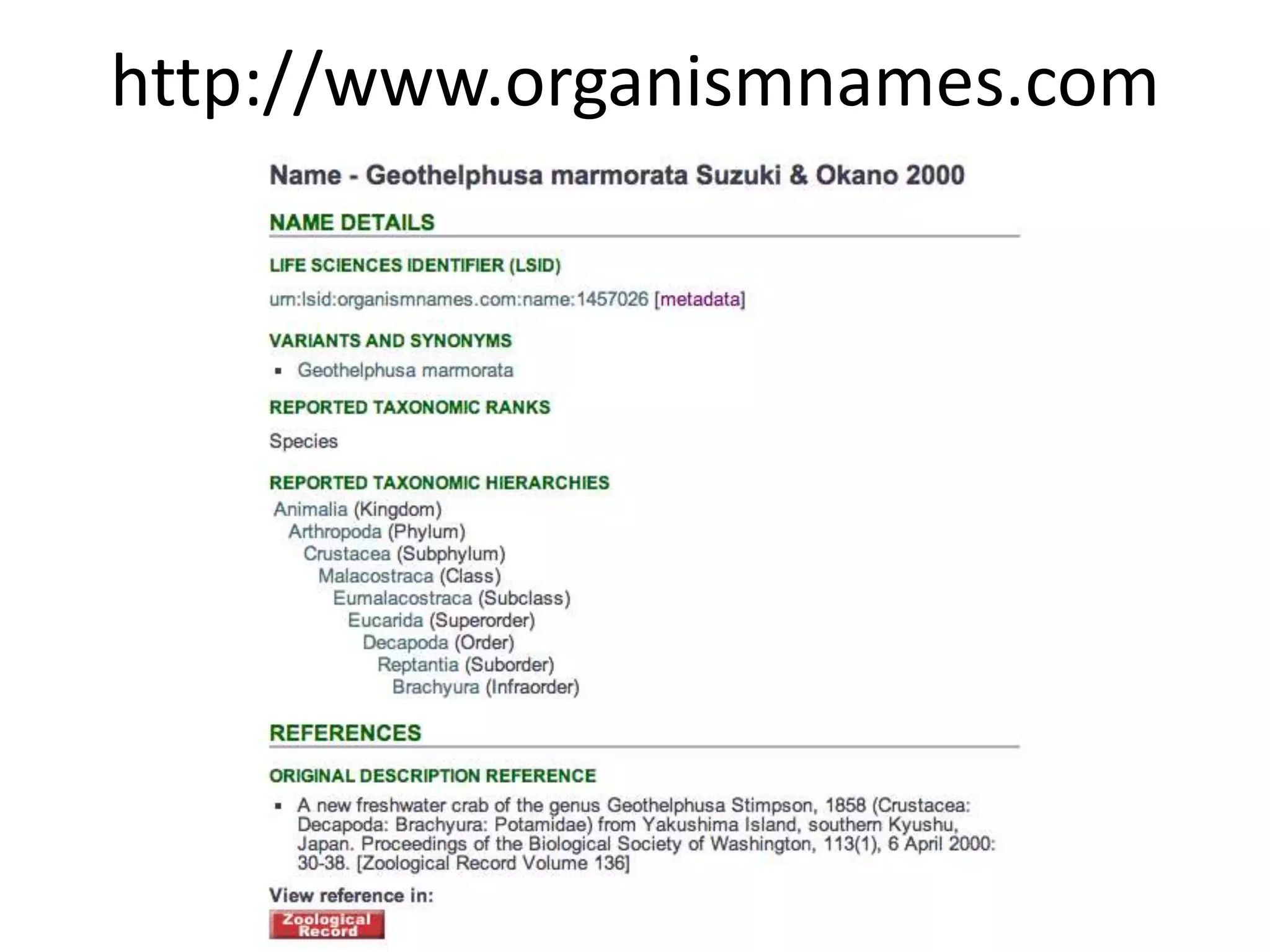 Open taxonomy | PPTX