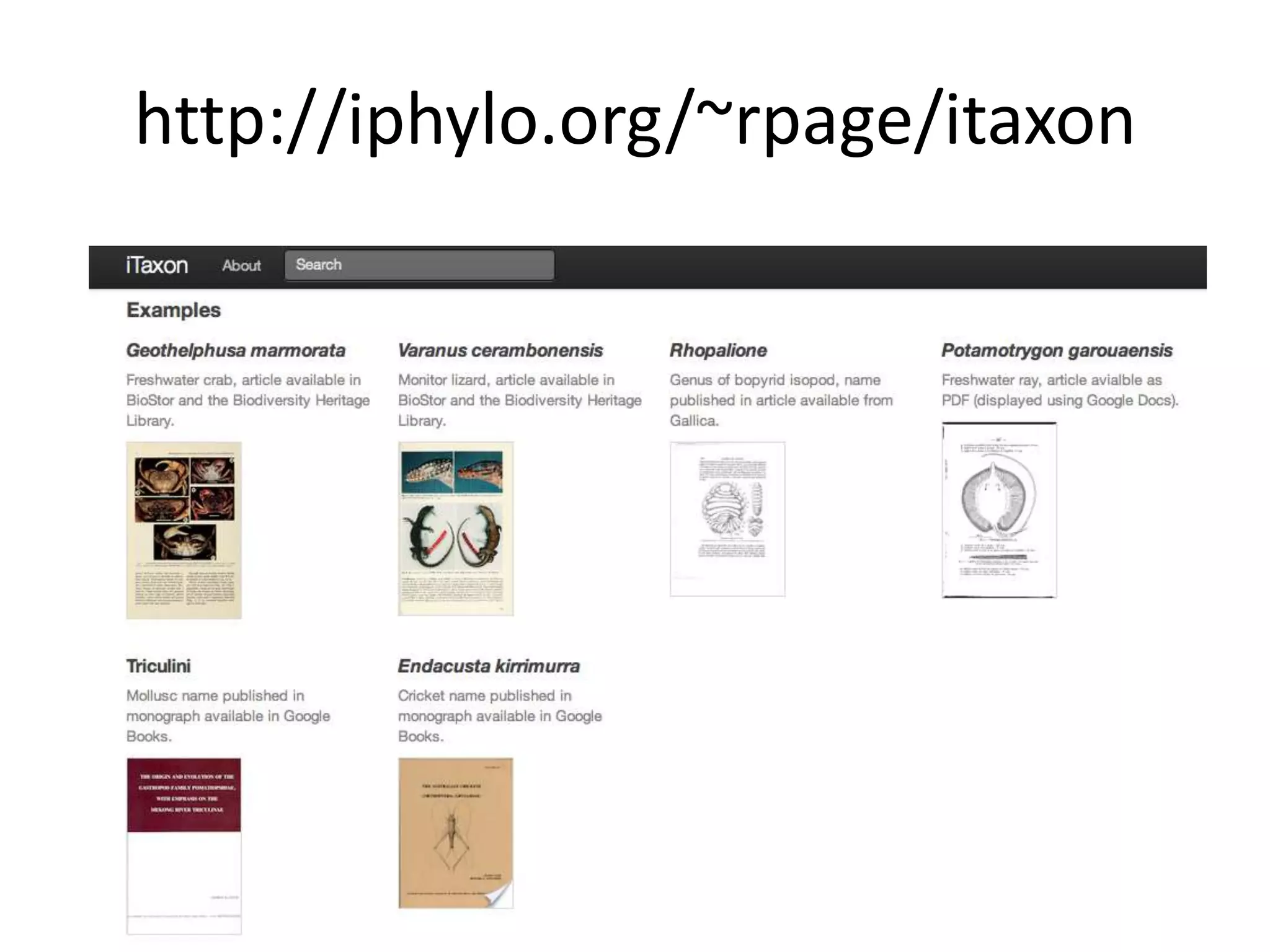 Open taxonomy | PPTX