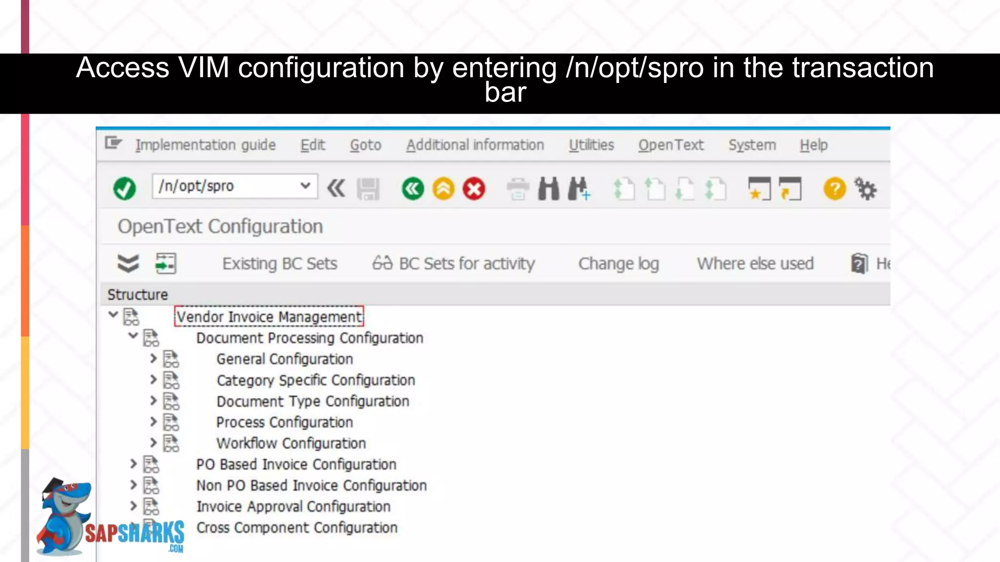 SAP Vim(Vendor Invoice management) Opentext | PPTX