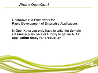 OpenXava: Rapid Development for Business Applications | ODP