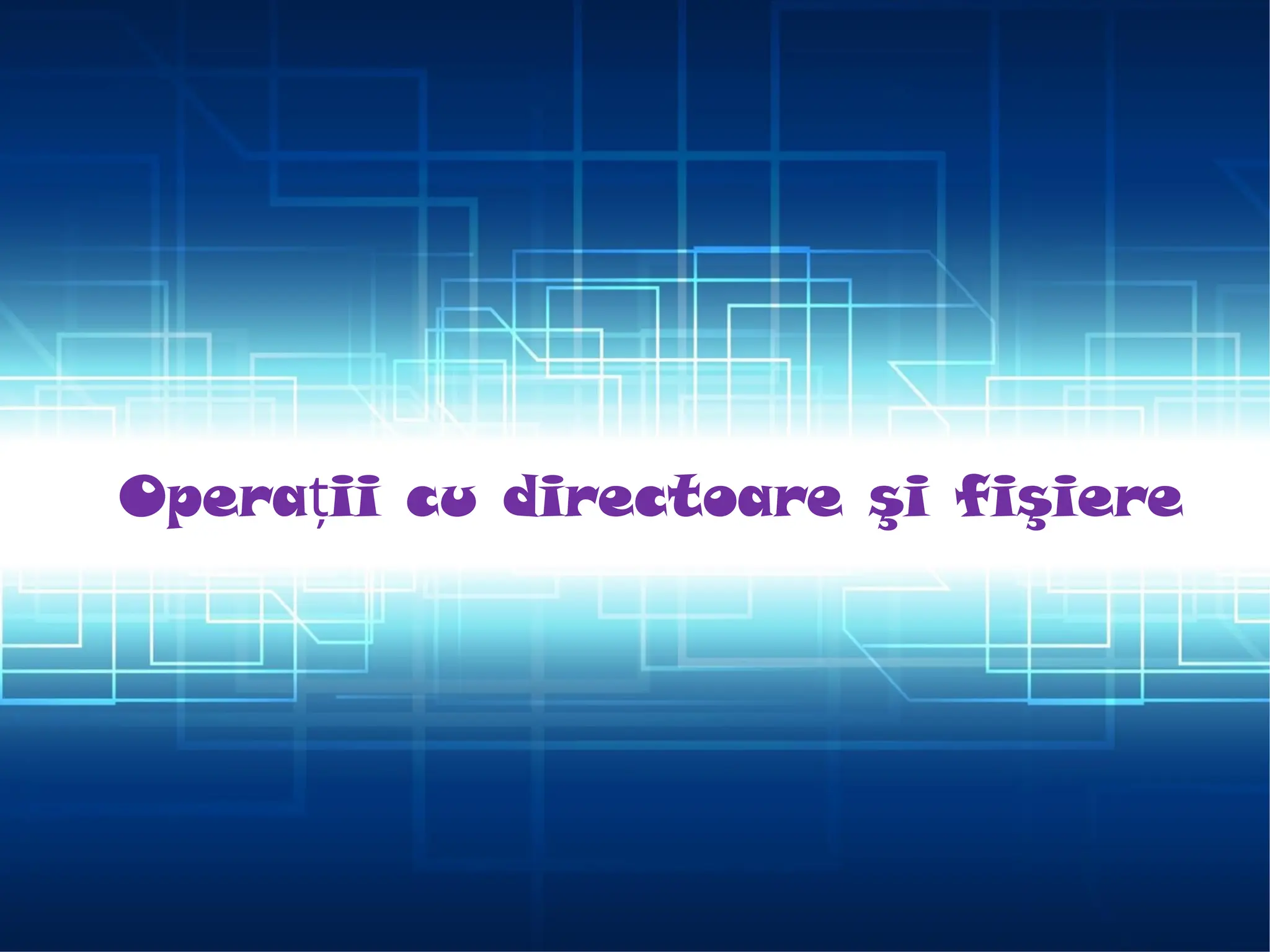 Directoare și fișiere prezentare clasa VII-A.pptx