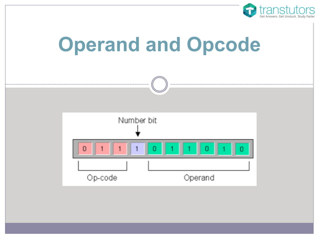 Operand and Opcode | Computer Science | PPT