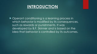 OPERANT.pptx best presentation ever given. | PPTX