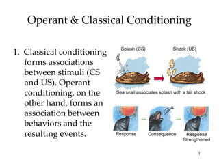 Classical Conditioning Vs Operant Conditioning