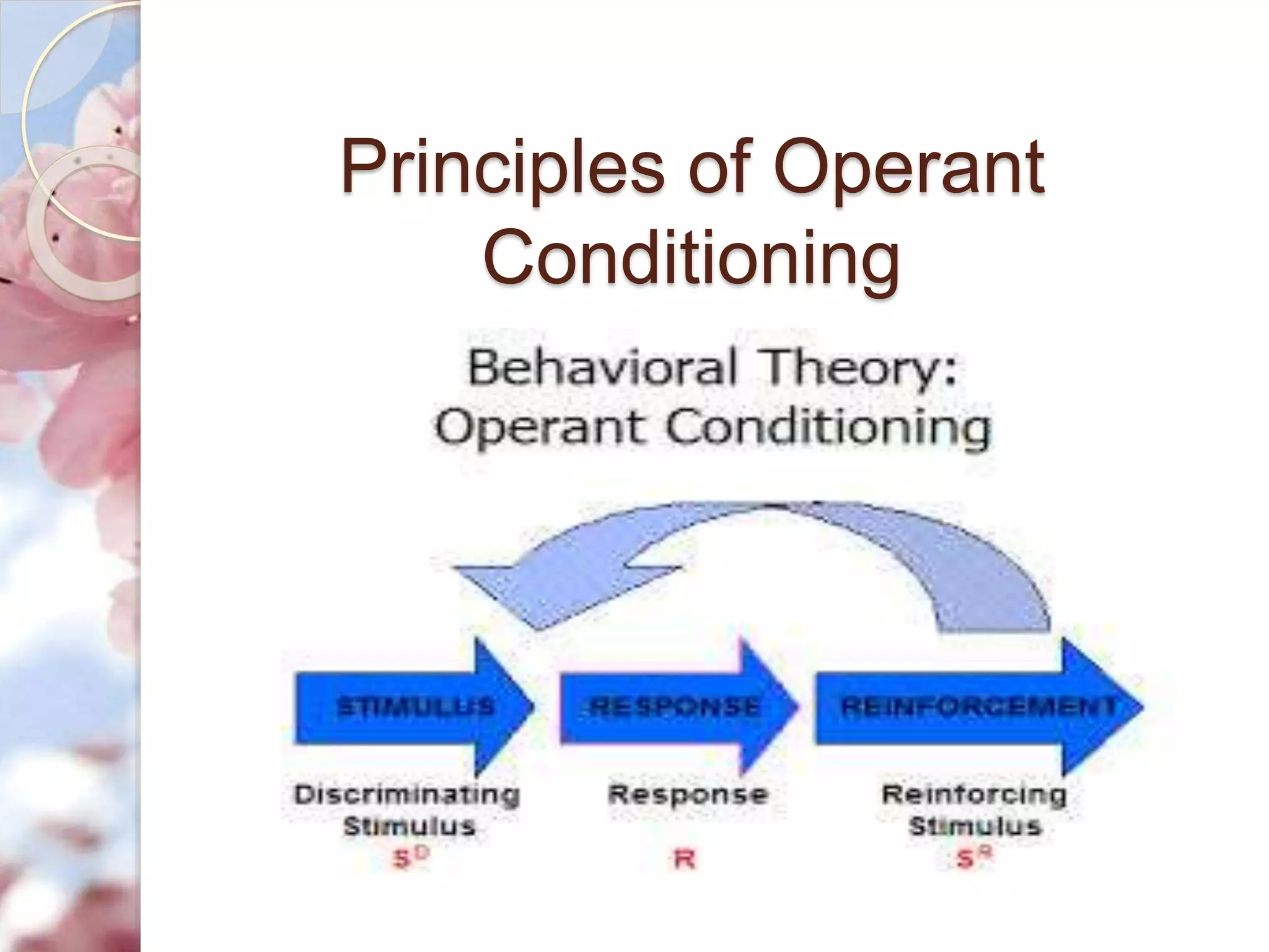 Operant Conditioning by BF Skinner | PPTX