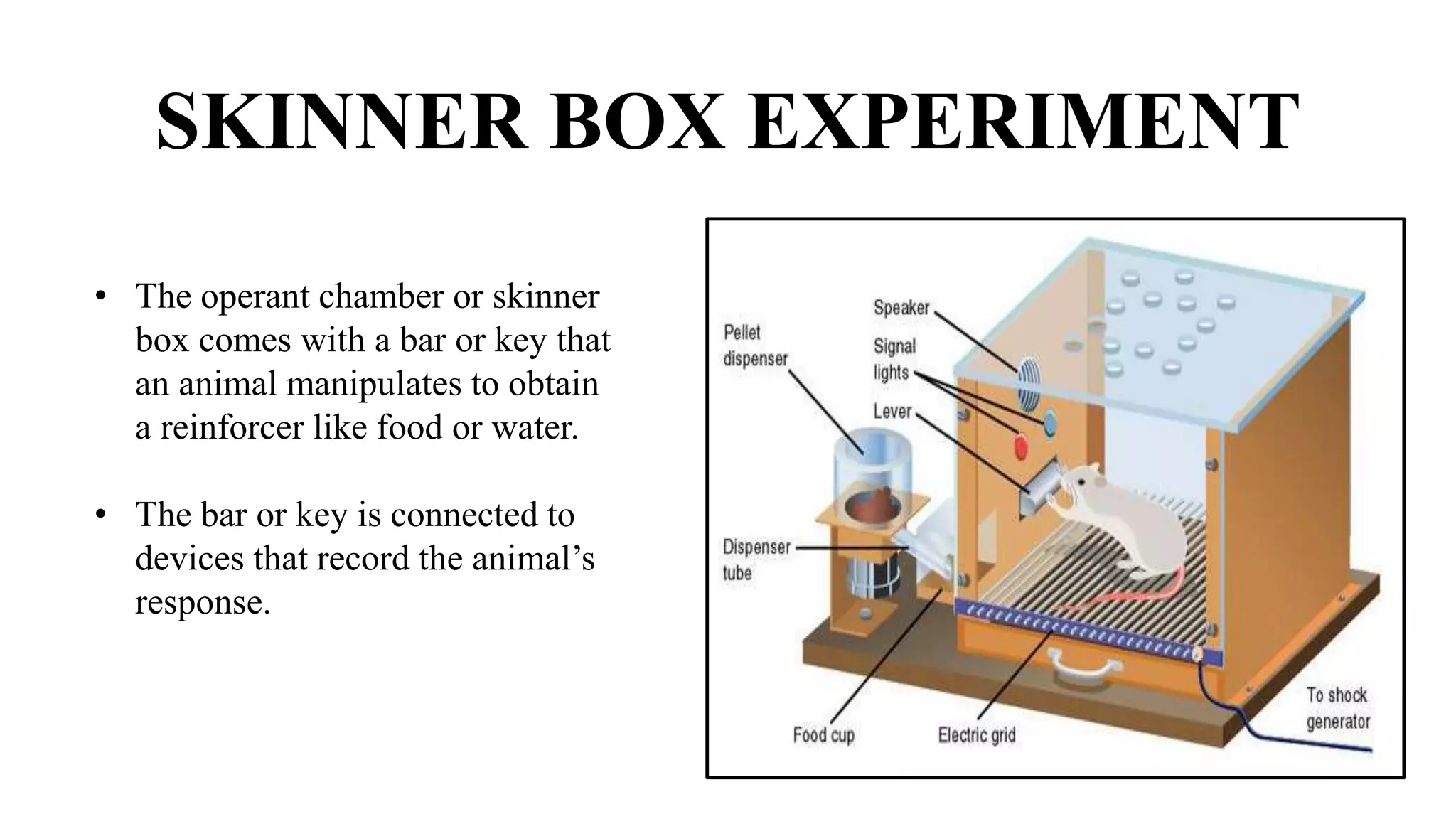 Operant Conditioning | PPTX
