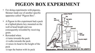 Operant Conditioning | PPTX