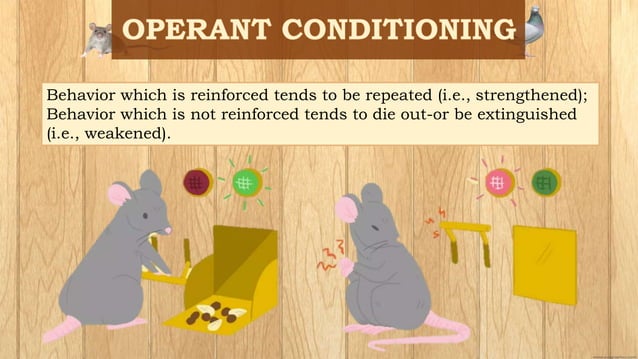 Operant conditioning | PPT