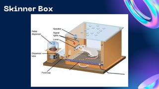 OPERANT CONDITIONING | PDF