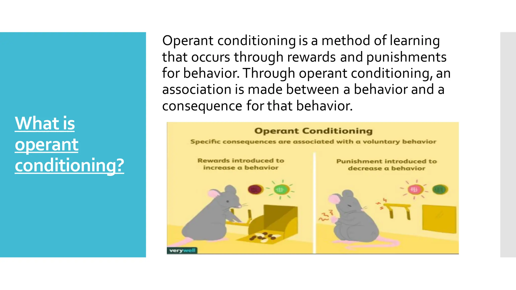 OPERANT CONDITIONING .pdf