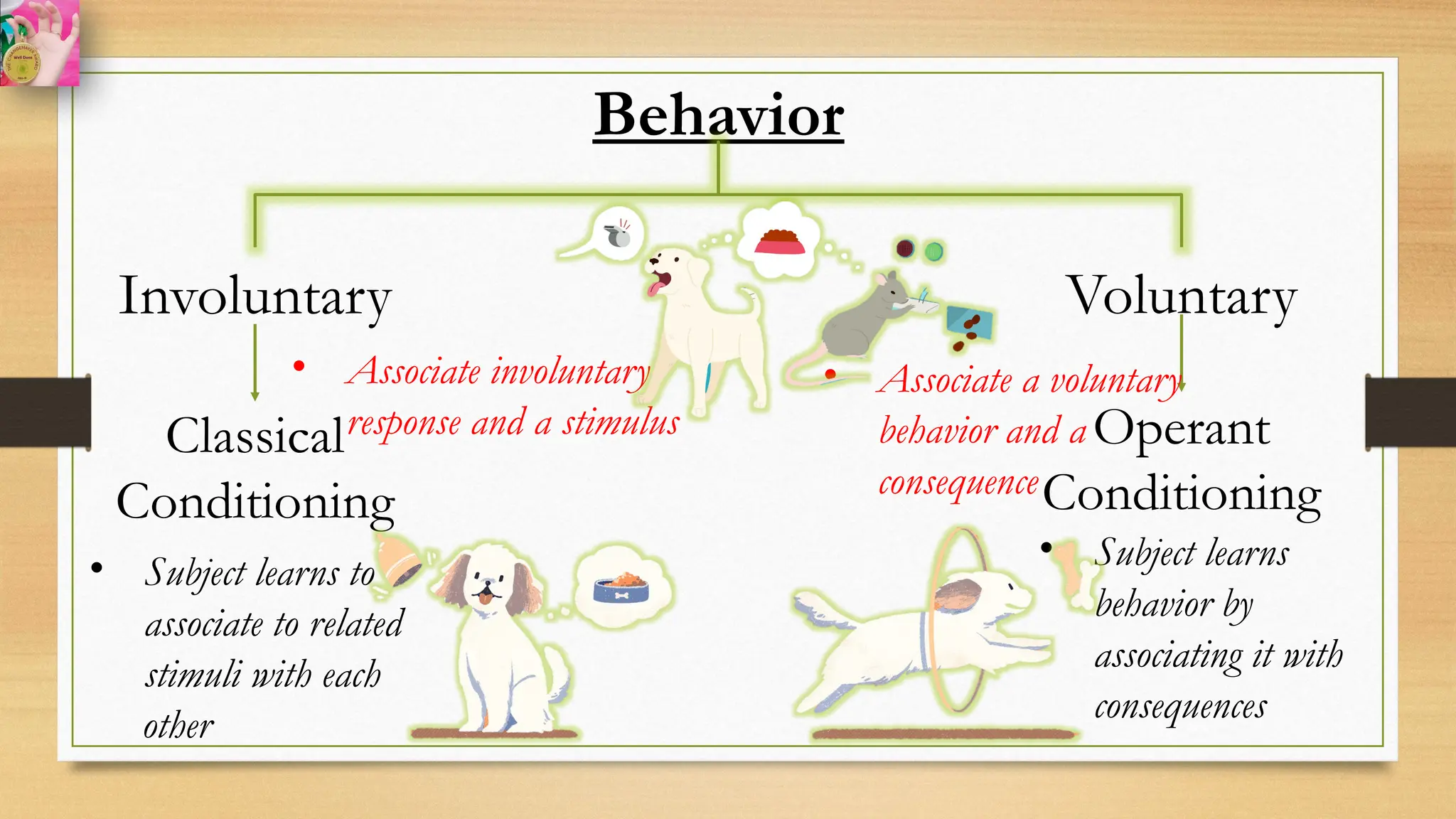 Operant conditioning in Psychology by Dear Knowledge.pptx