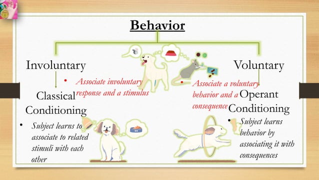 Operant conditioning in Psychology by Dear Knowledge.pptx