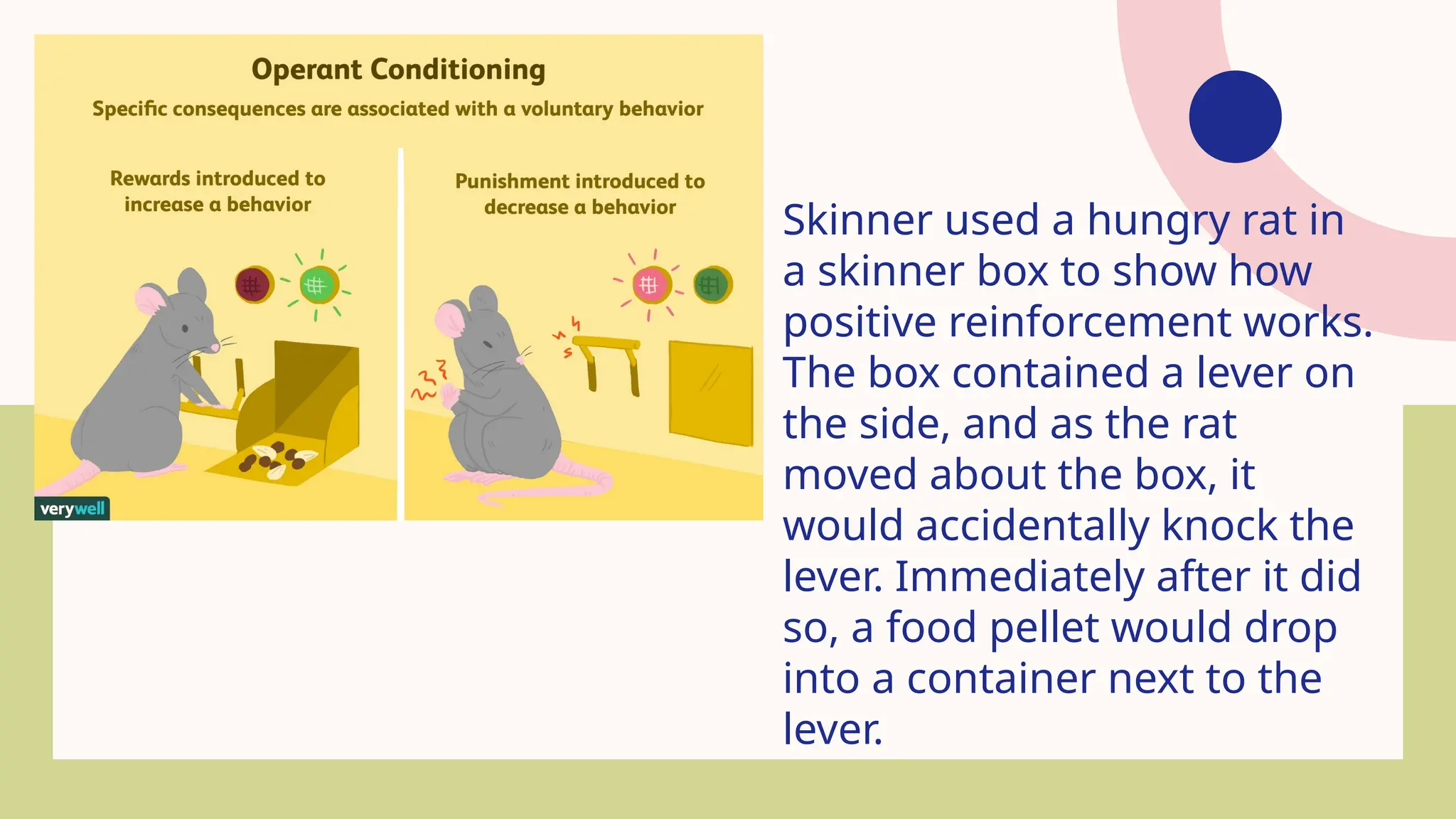 Operant conditioning and classical condition | PPT