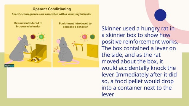 Operant conditioning and classical condition | PPT