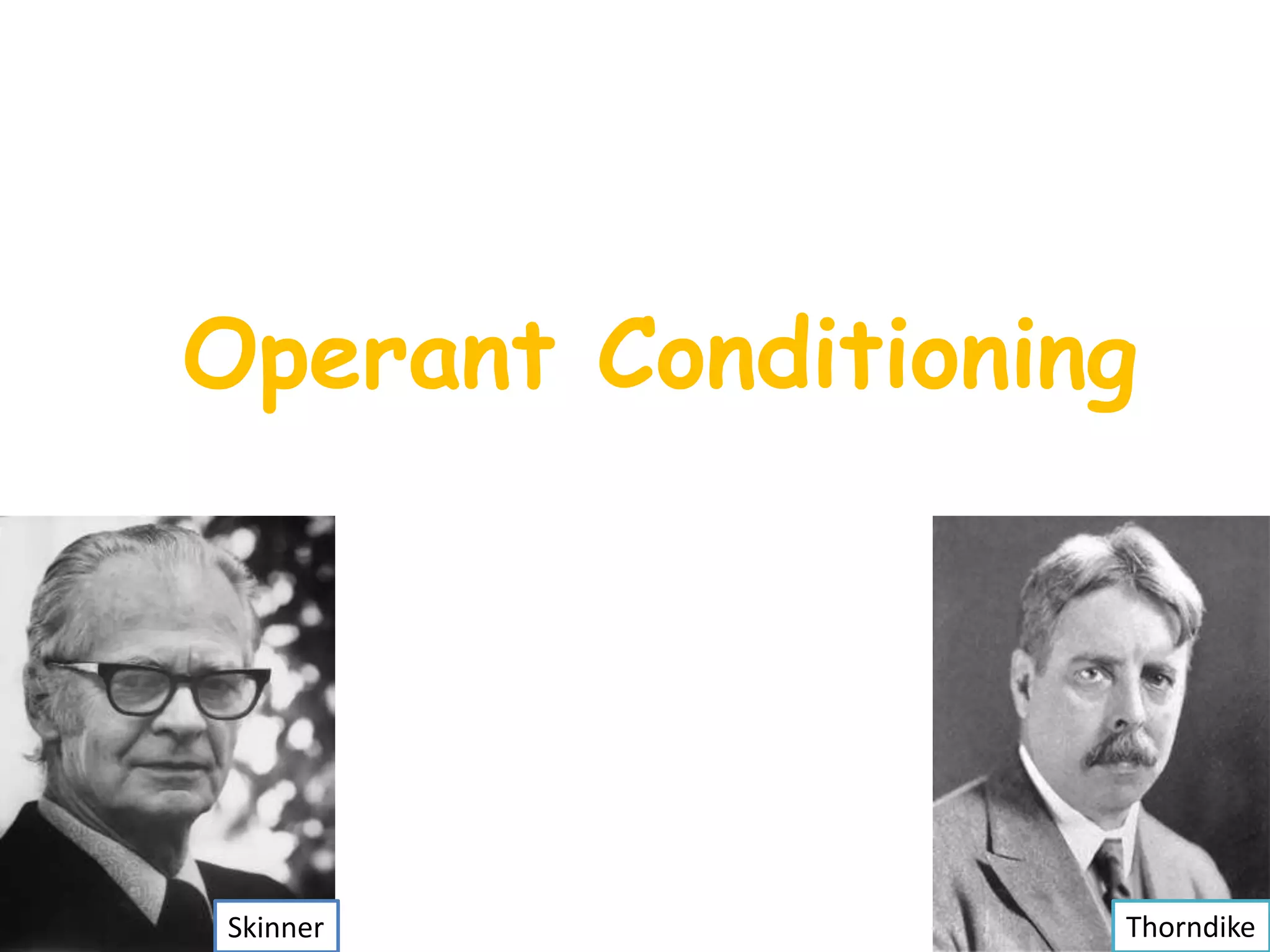 Operant conditioning | PPT
