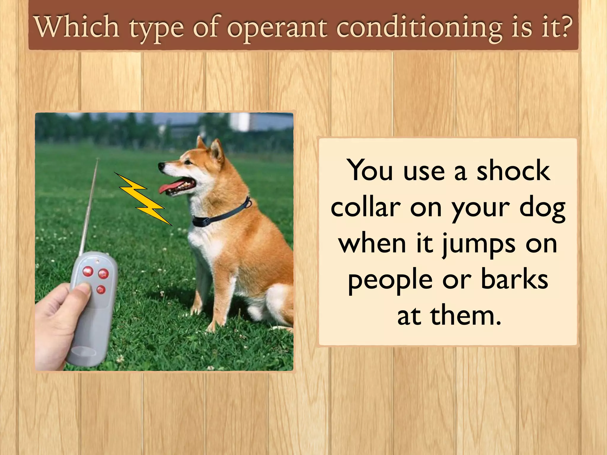 Operant Conditioning Part 1 | PDF