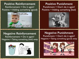 Operant Conditioning Part 2 | PDF