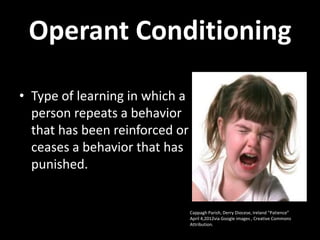 Operant Conditioning Powerpoint Lecture | PPTX