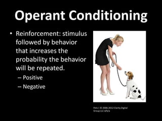 Operant Conditioning Powerpoint Lecture | PPTX