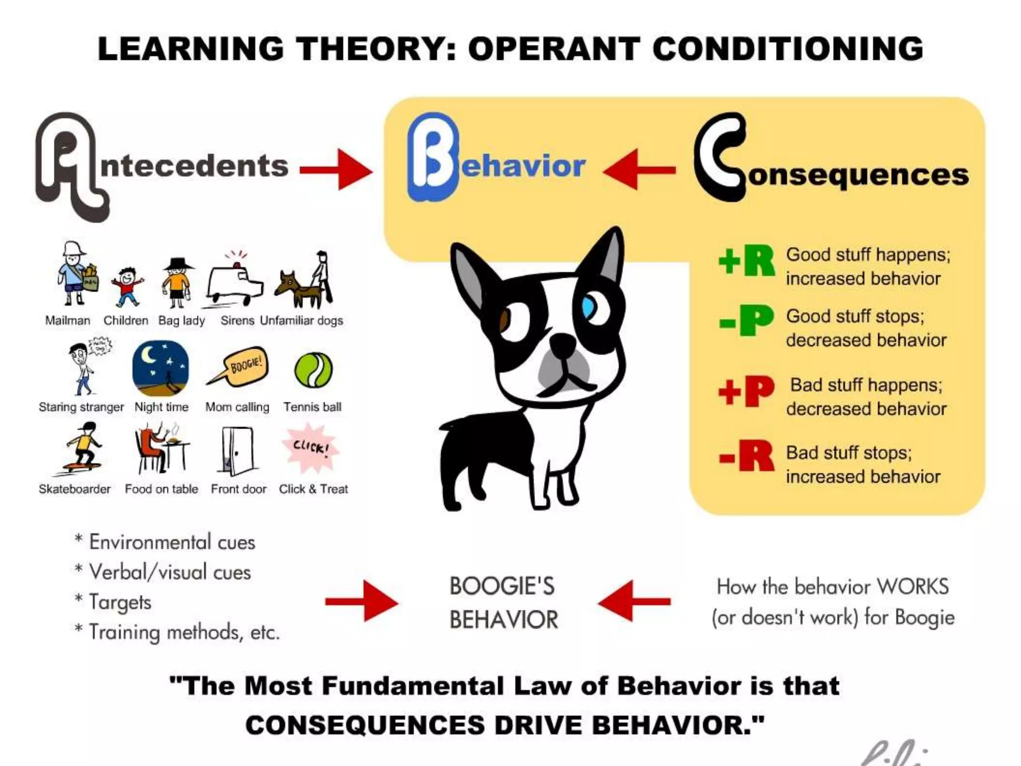 Operant conditioning quiz answers | PPT