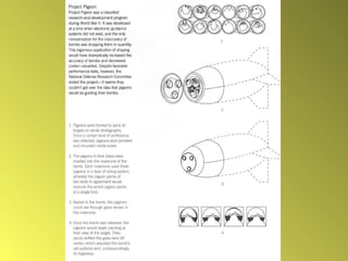 Operant_Conditioning_Slide(oooooooooooooo1).ppt