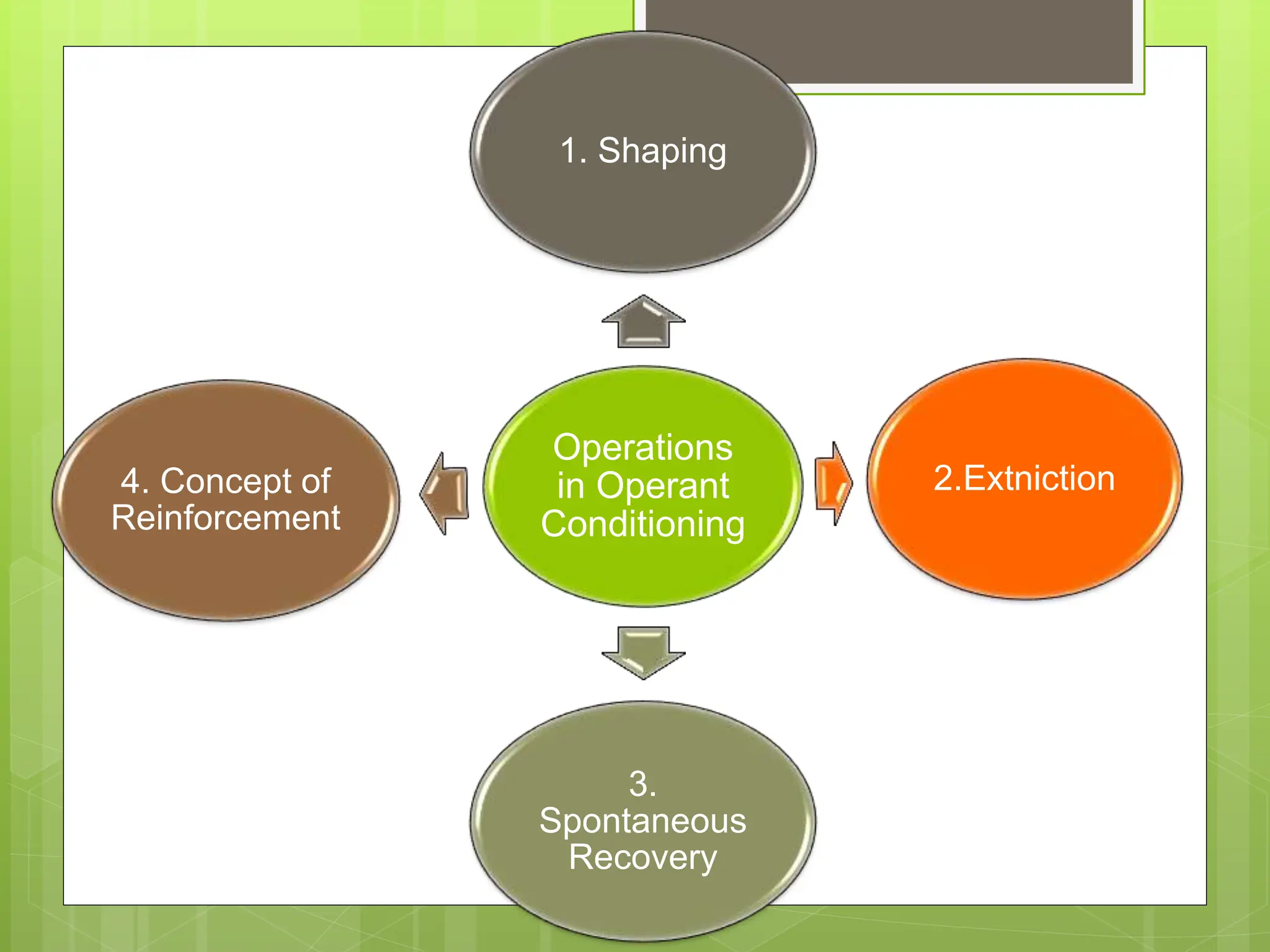 PowerpointOperantConditioningTheory.pptx
