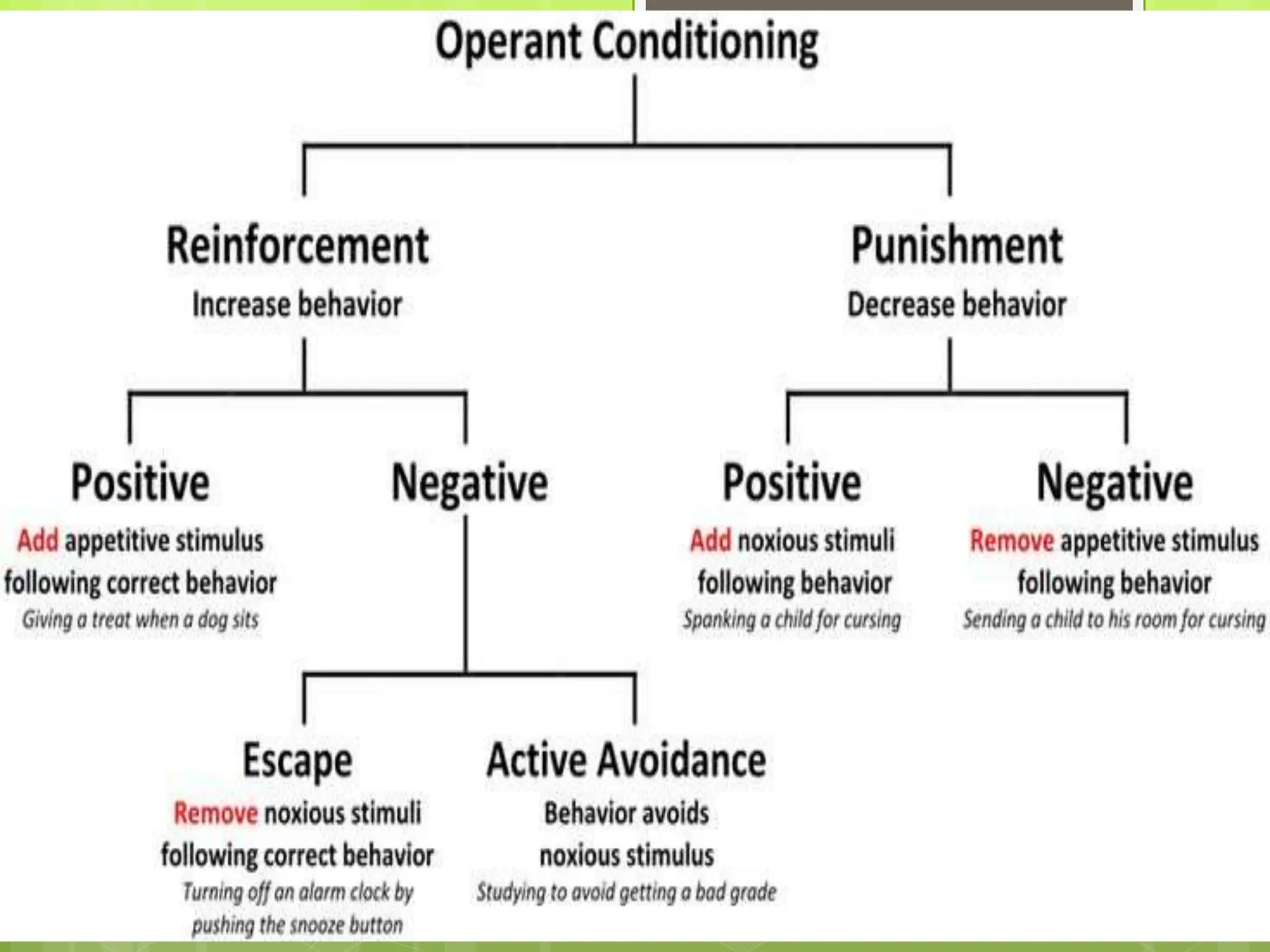 PowerpointOperantConditioningTheory.pptx