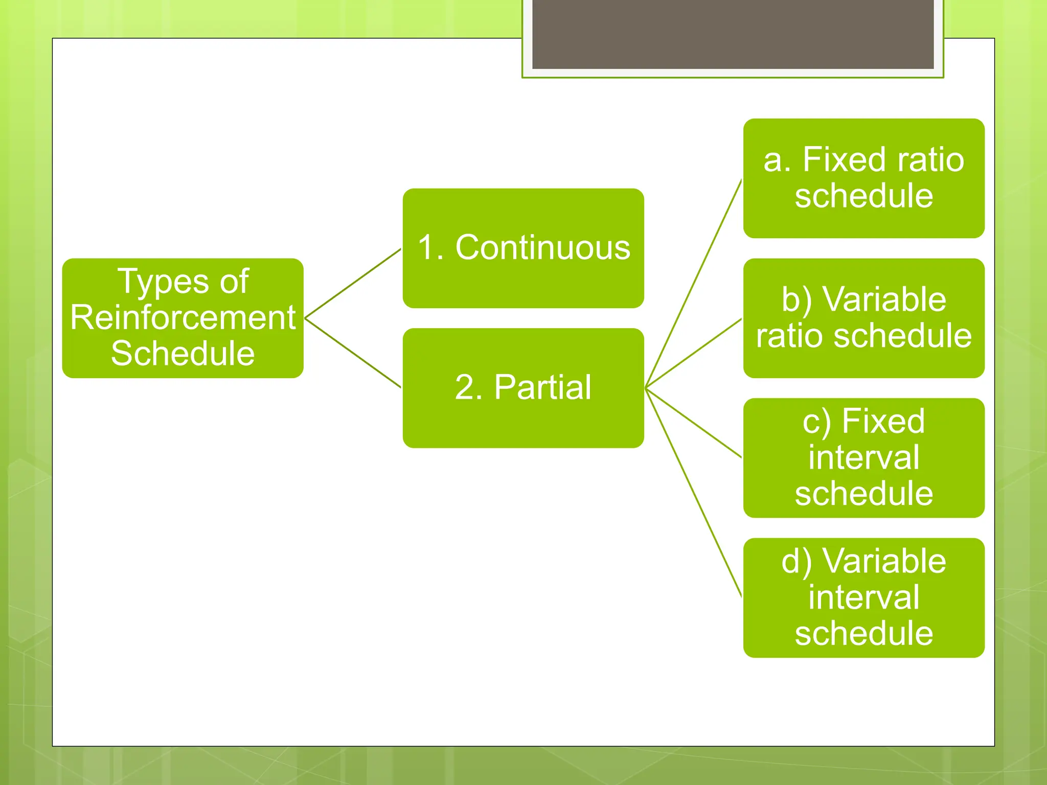 PowerpointOperantConditioningTheory.pptx