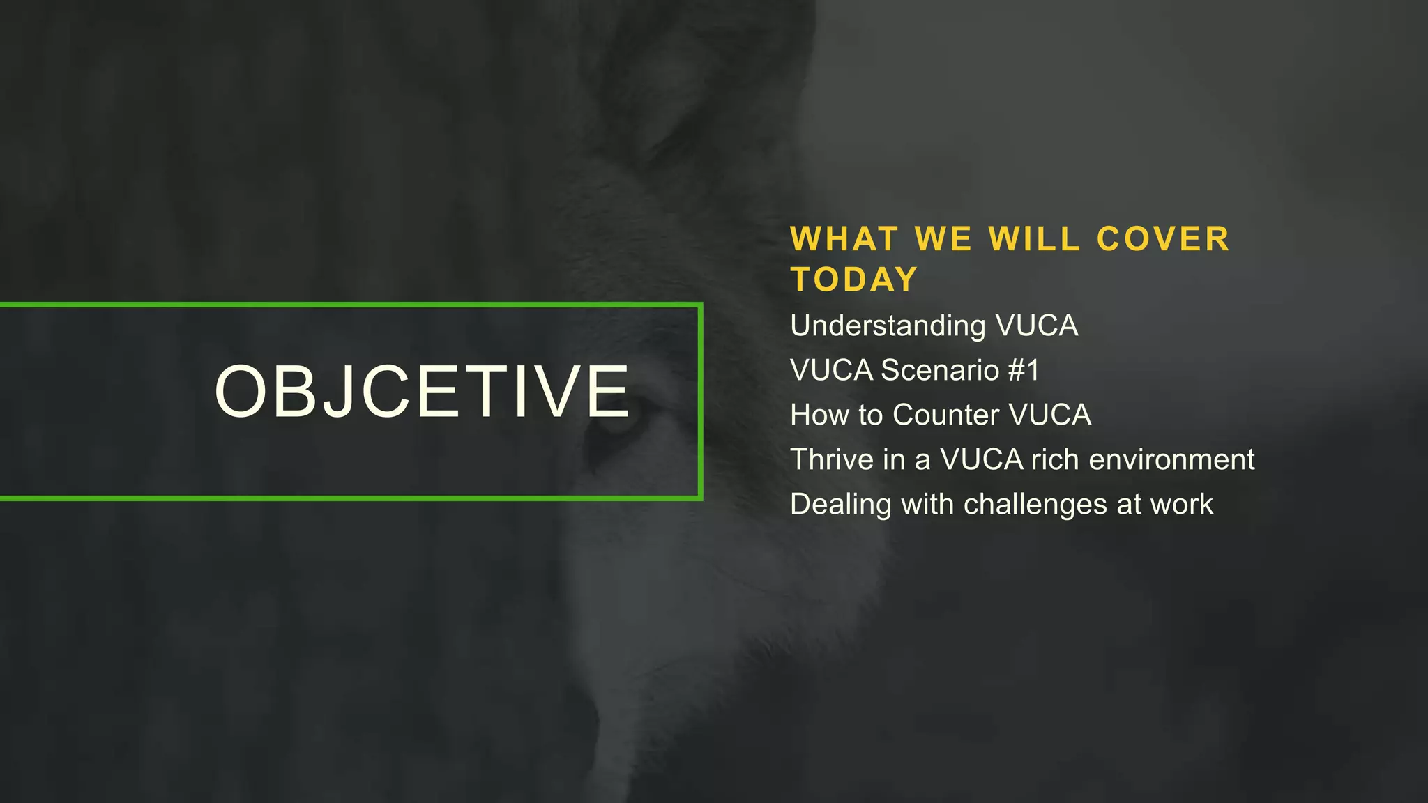 Operating in a vuca environment | PPSX