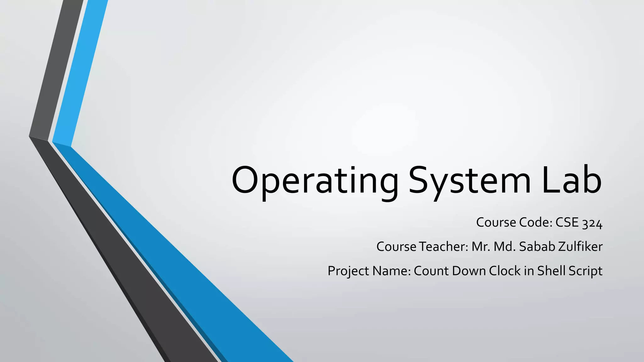 Operating system lab project | PPT