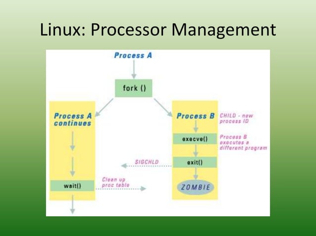 Operating Systems Linux In Detail Ppt