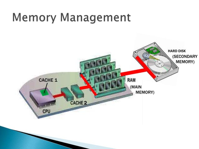 Operating Systems: Memory Management | PPTX