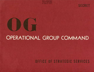 Operational groups-overview | PDF