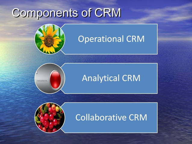 crm, customer realtionship | PPT