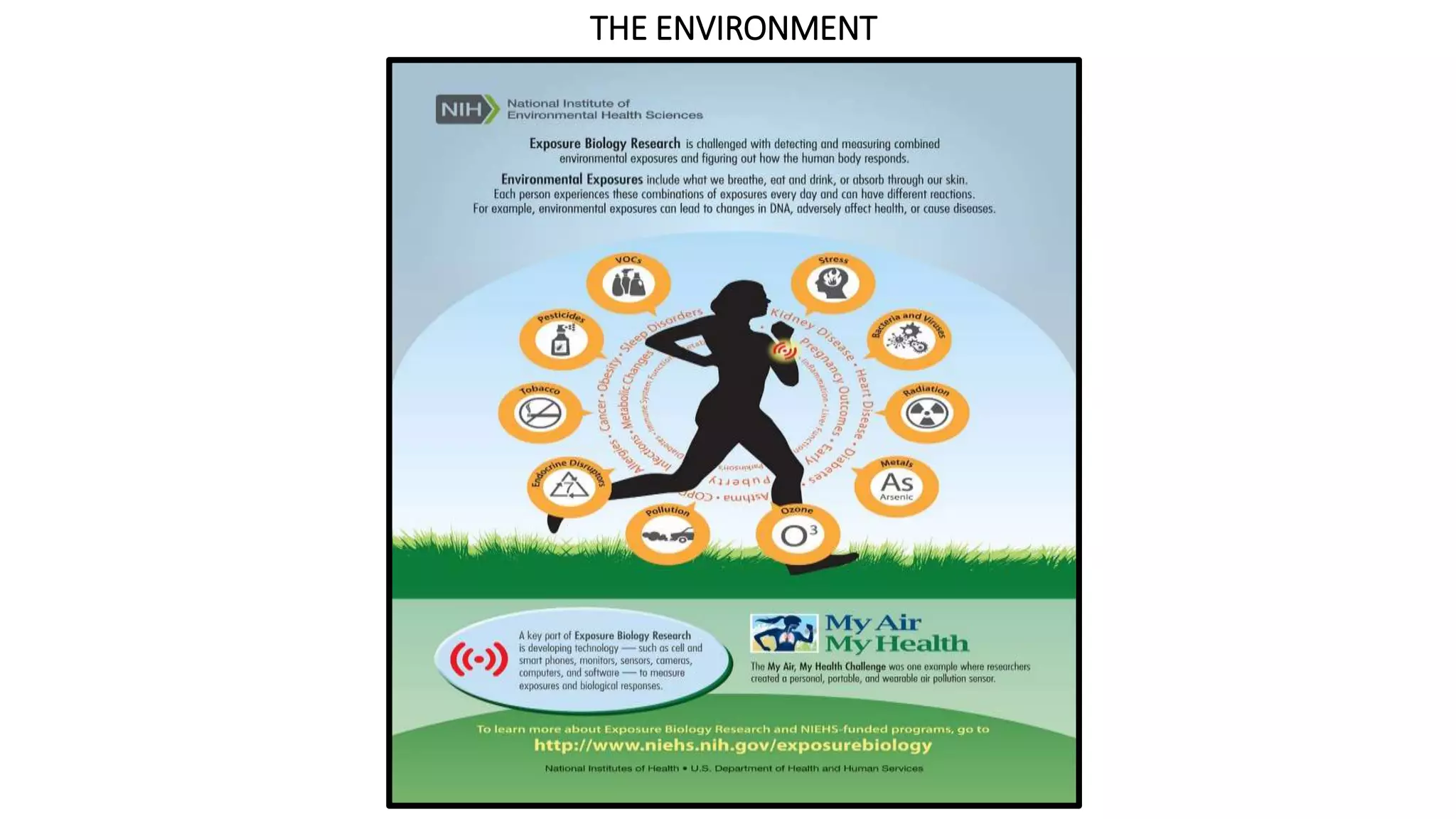 Understanding the Operational Environment | PPTX
